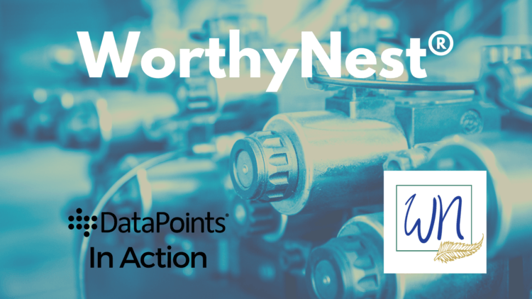 WorthyNest®: DataPoints in Action - Using Behavioral Assessments in the Client Experience
